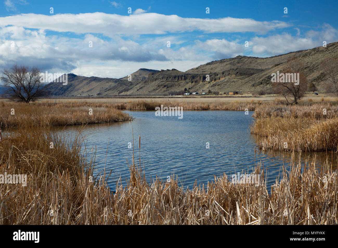 Pond along Discovery Marsh Nature Trail, Tule Lake National Wildlife ...