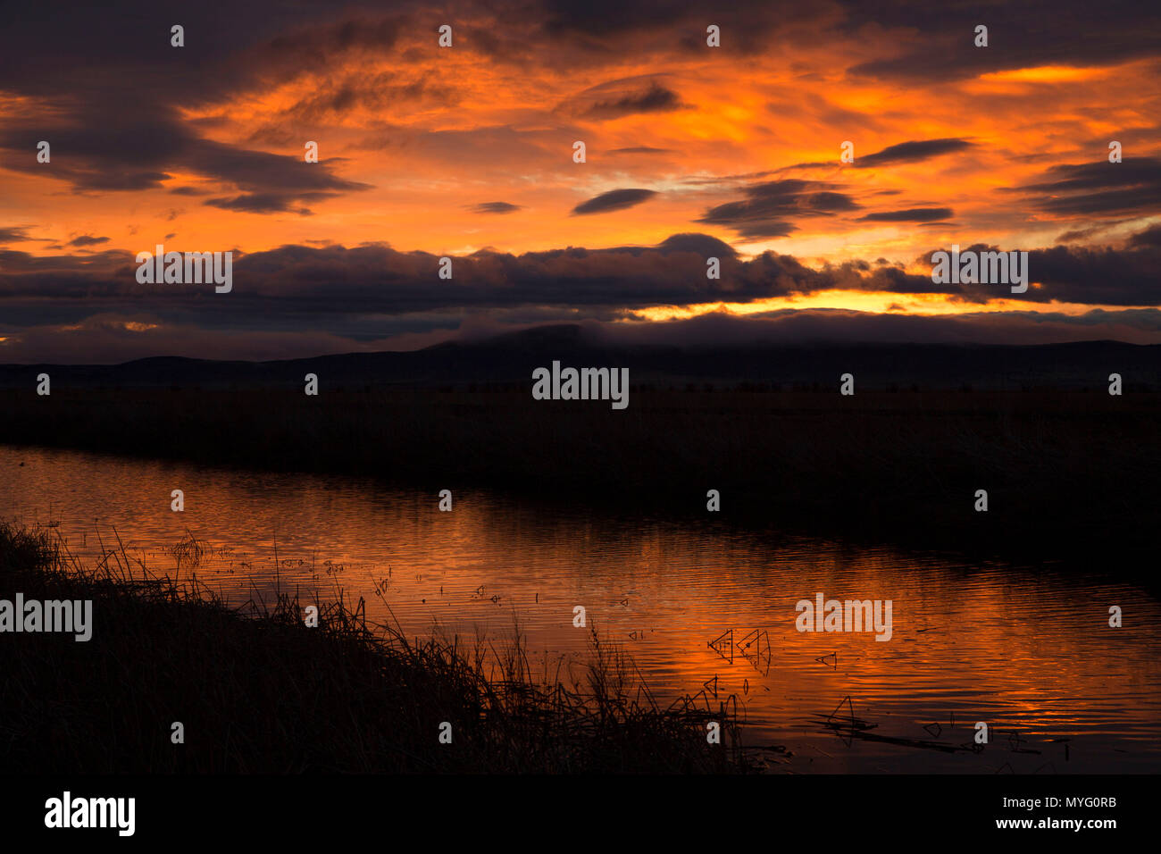 Marsh sunrise along auto tour route, Lower Klamath National Wildlife ...