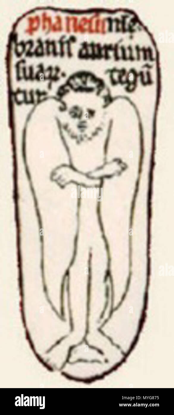 . English: Panotti, from the Hereford Mappa Mundi. 31 October 2014, 15: ...