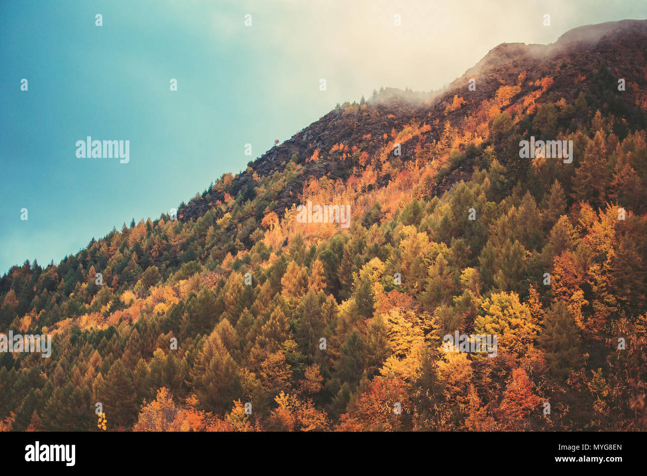 Autumn in arrowtown, Queenstown New Zealand landscape Stock Photo - Alamy