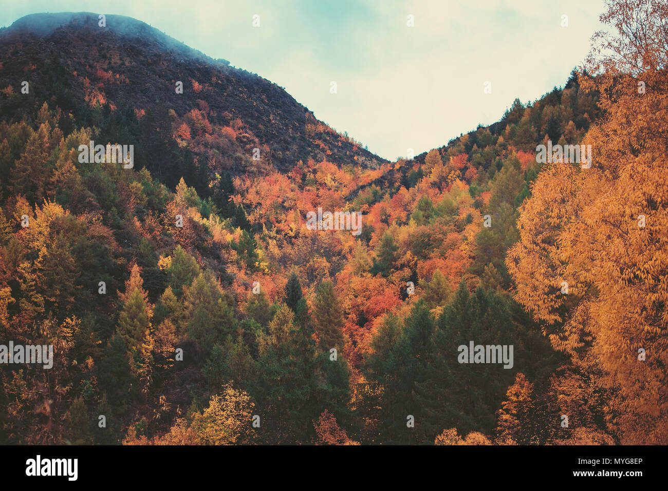 Autumn in arrowtown, Queenstown New Zealand landscape Stock Photo - Alamy