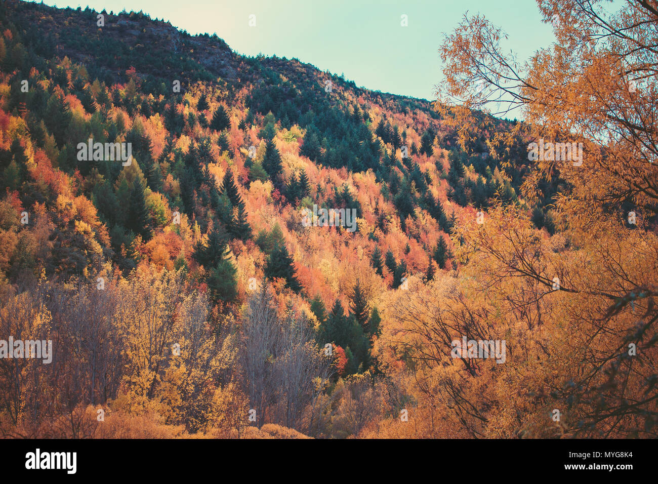 Autumn in arrowtown, Queenstown New Zealand landscape Stock Photo - Alamy