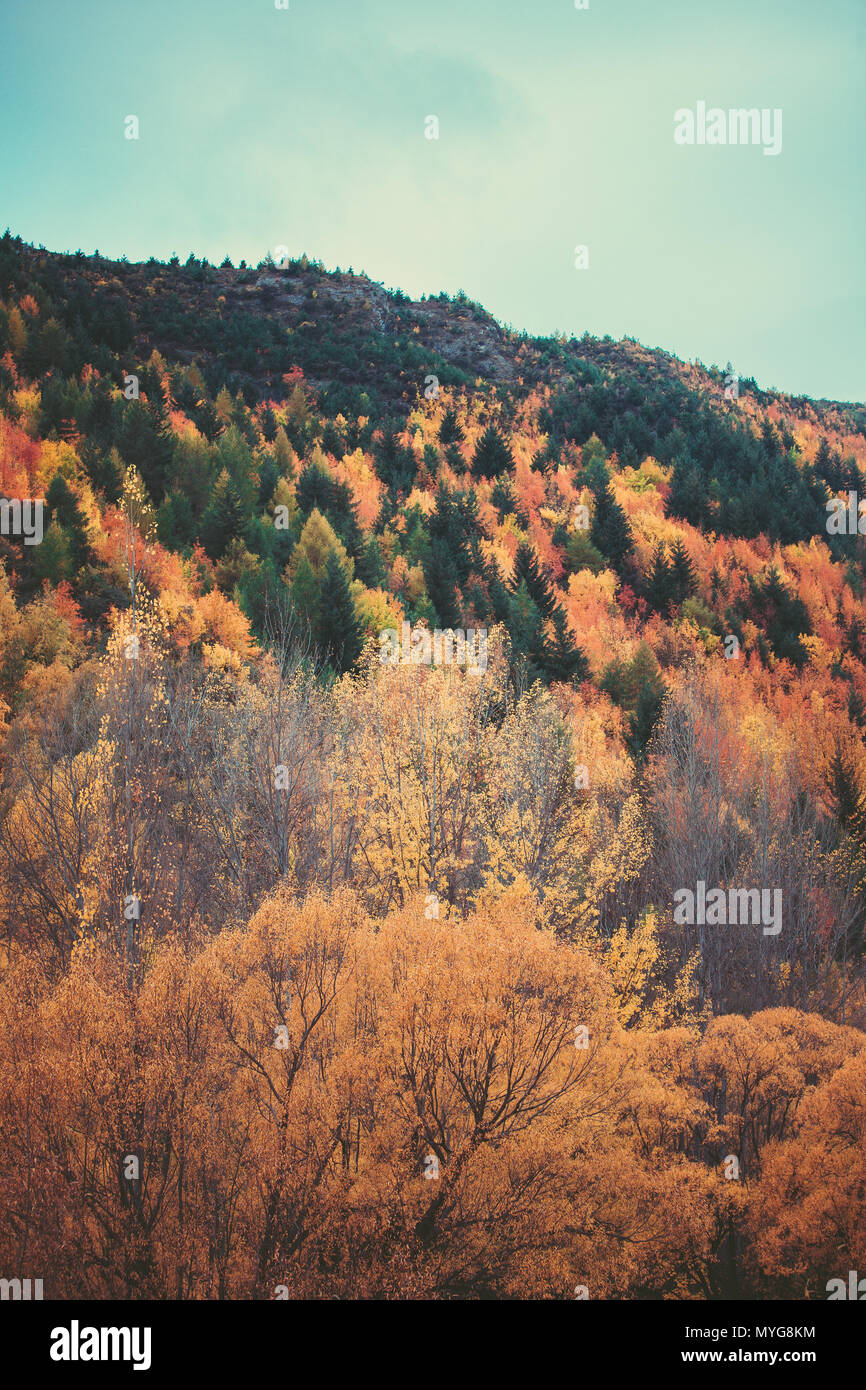 Autumn in arrowtown, Queenstown New Zealand landscape Stock Photo - Alamy