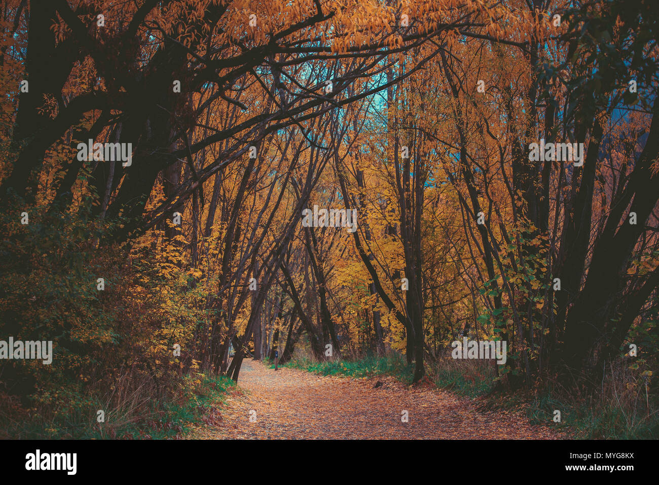 Autumn in arrowtown, Queenstown New Zealand landscape Stock Photo - Alamy