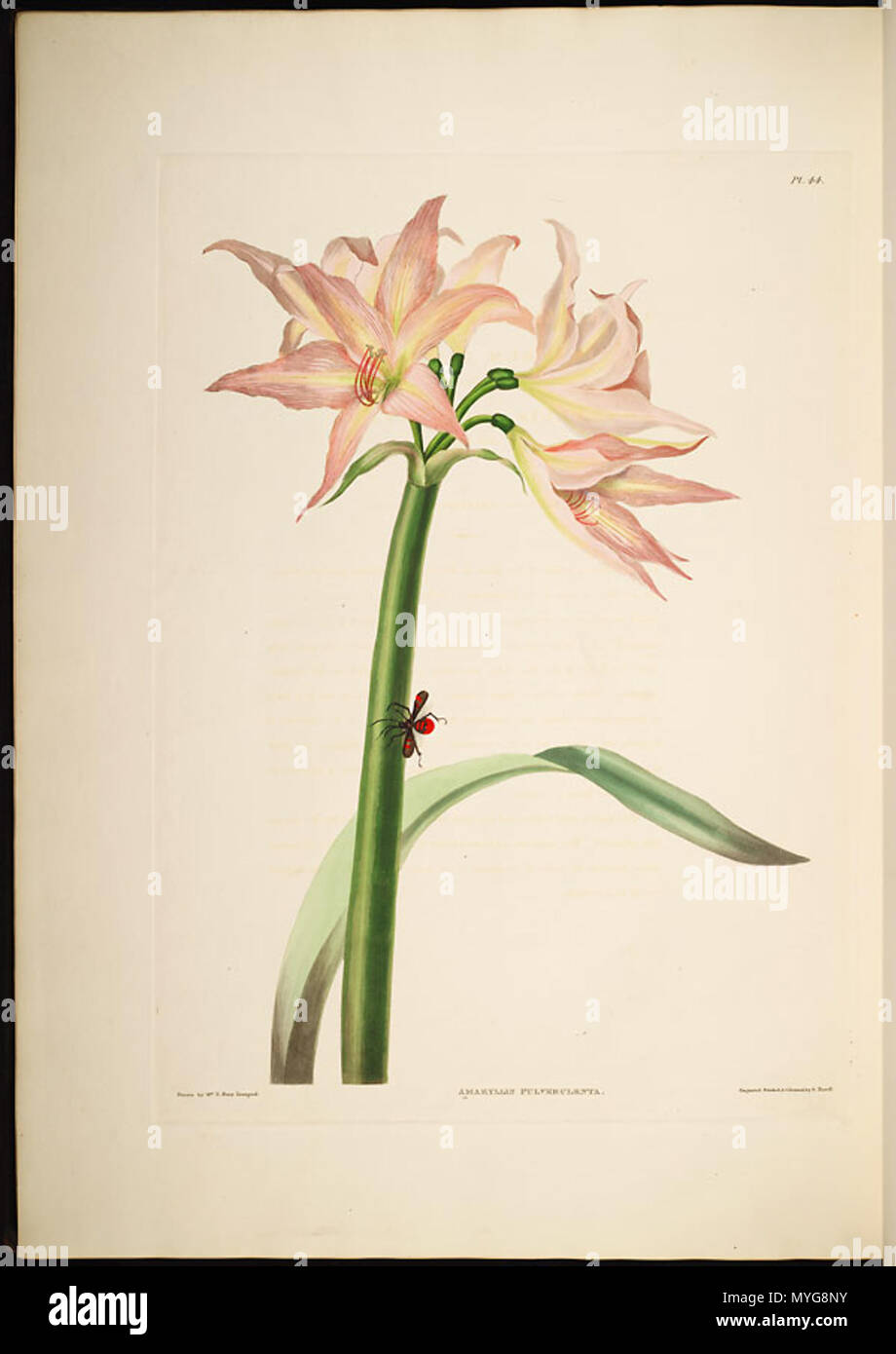 Engraved by r havell hi-res stock photography and images - Alamy