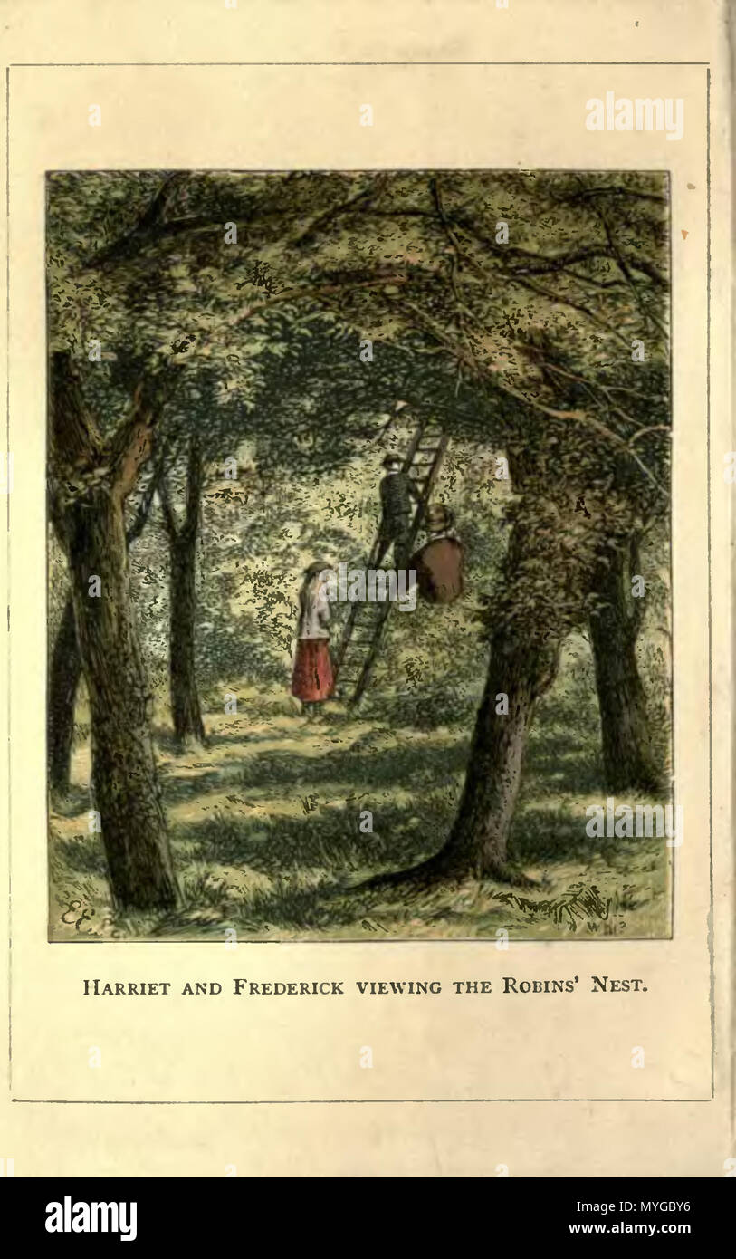 . English: Frontpiece of The Story of the Robins. Two main characters ...