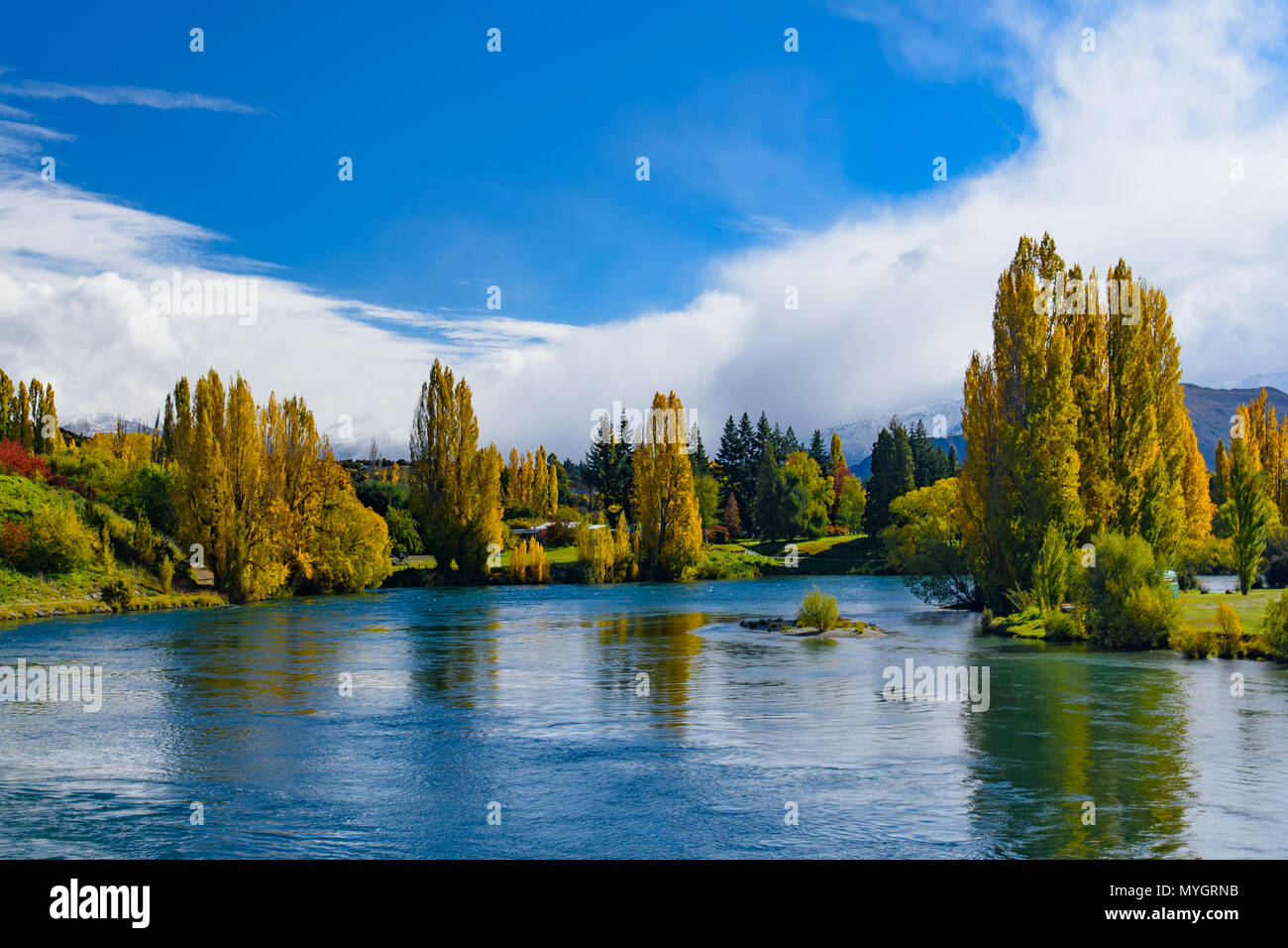Trees around lake in autumn, South Island, New Zealand Stock Photo - Alamy