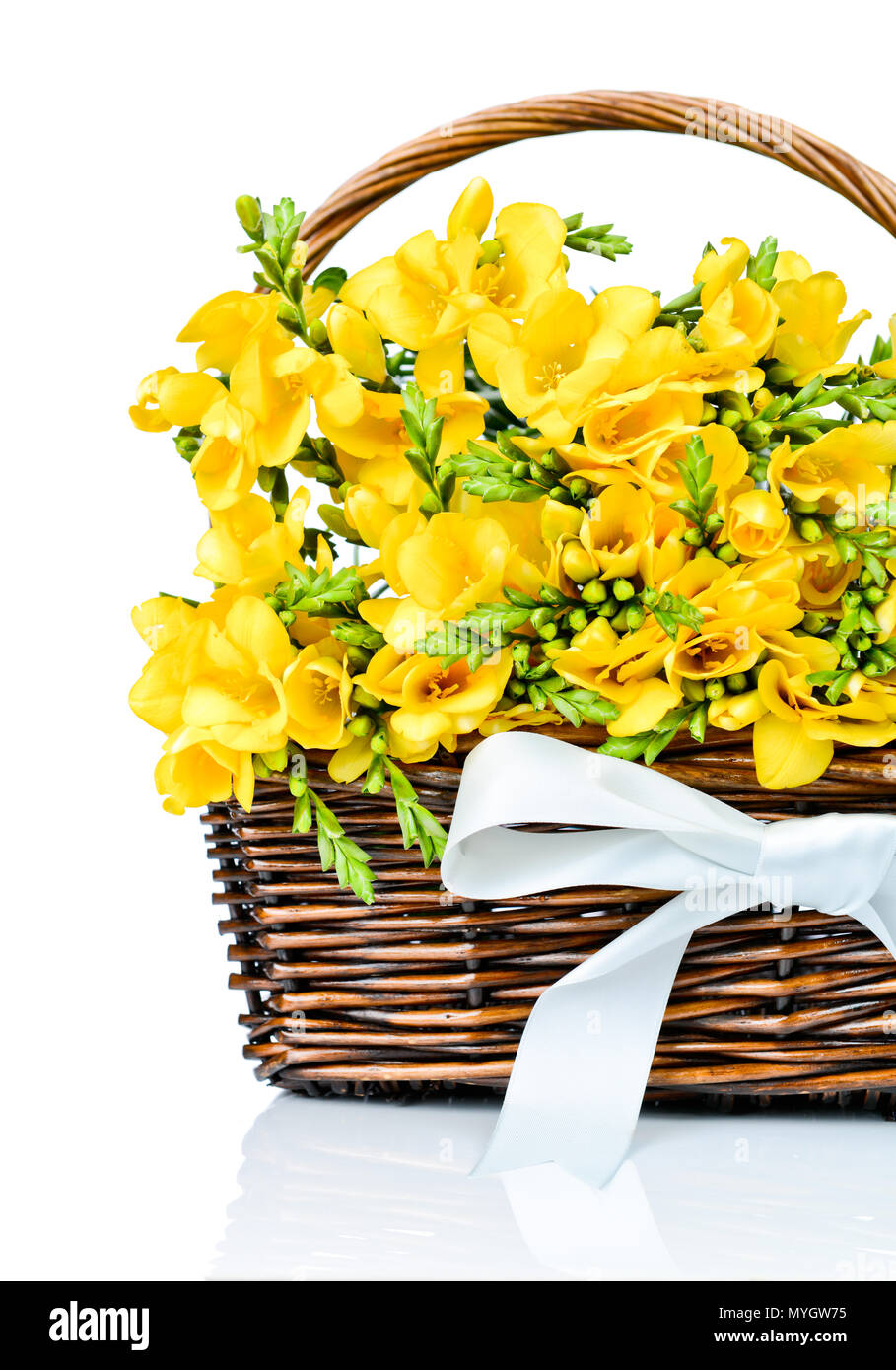 Photo of fresh yellow freesia flowers Stock Photo - Alamy