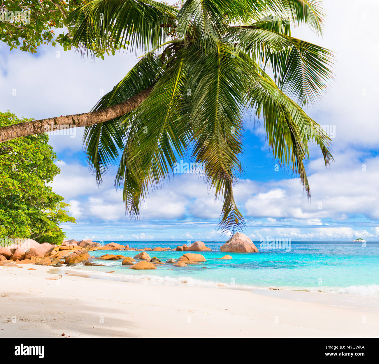 Tropical beach. The Seychelles Stock Photo - Alamy
