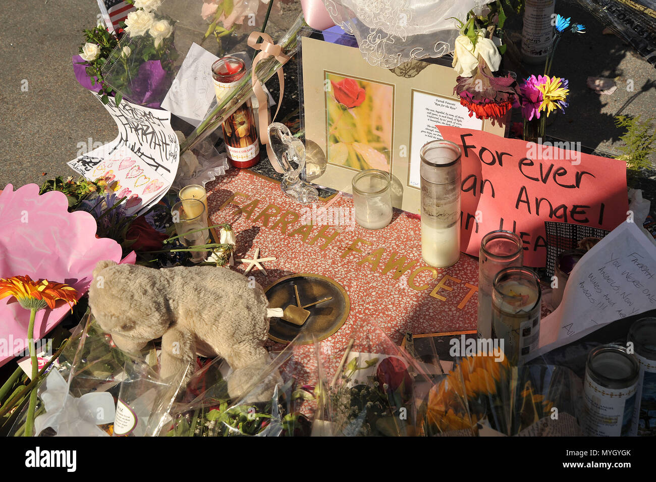 Flowers, memory card and candles on the Hollywood Walk Of Fame Star of ...
