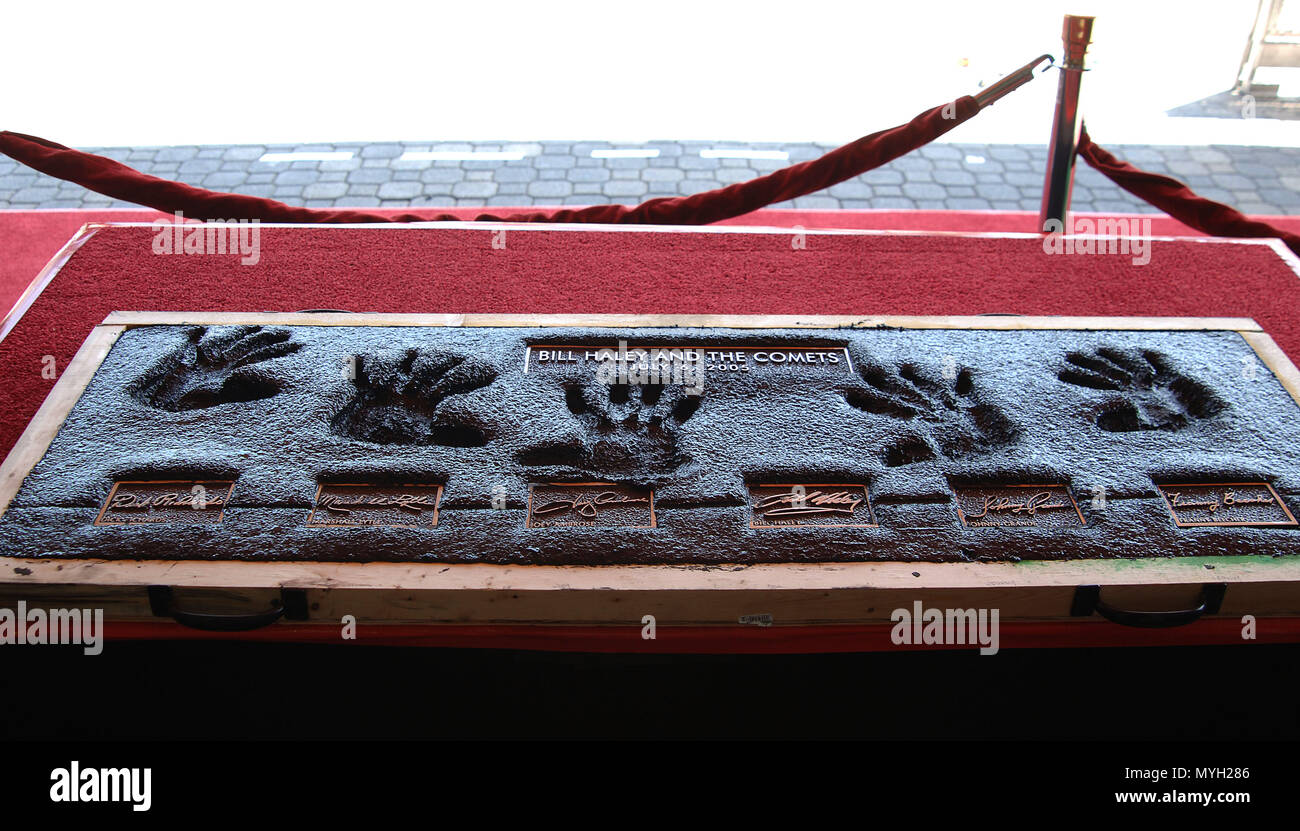 The Five Surviving Members of the "Bill Haley and The Comets" , Franny ...