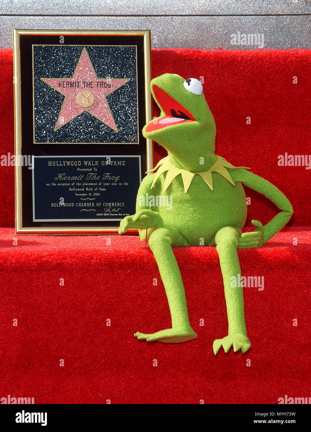 Kermit the Frog received the 2208th Star on the Hollywood Blvd. walk of ...