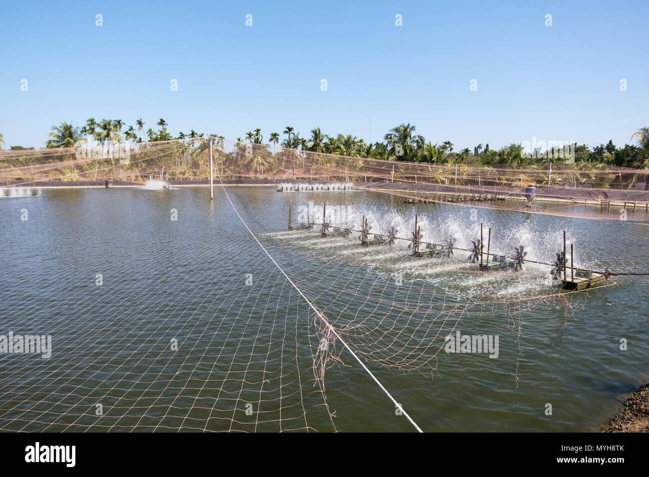 Water aeration turbine in farming aquatic. Shrimp and fish hatchery ...