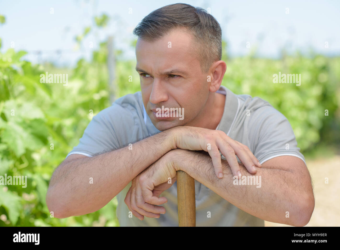 man in the vineyard Stock Photo - Alamy