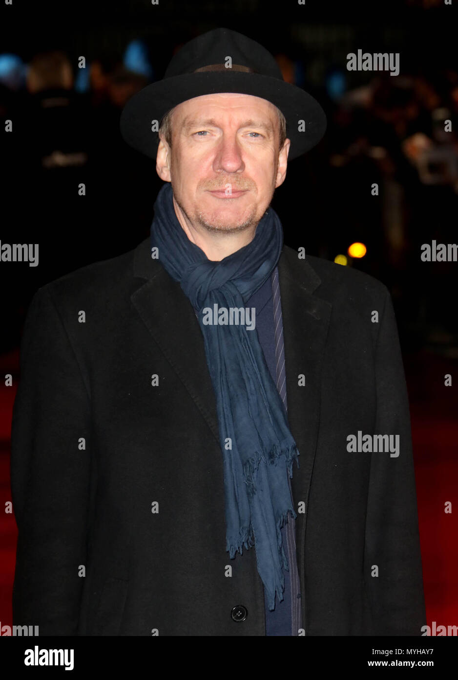 Feb 06, 2018 - David Thewlis attending 'The Mercy' World Premiere at ...