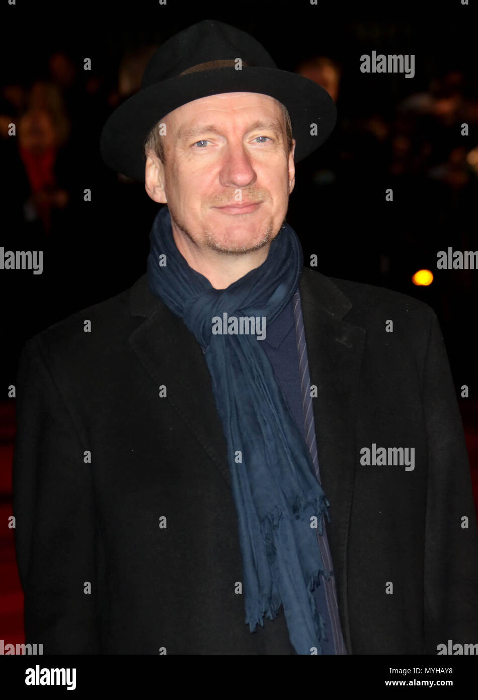 Feb 06, 2018 - David Thewlis attending 'The Mercy' World Premiere at ...