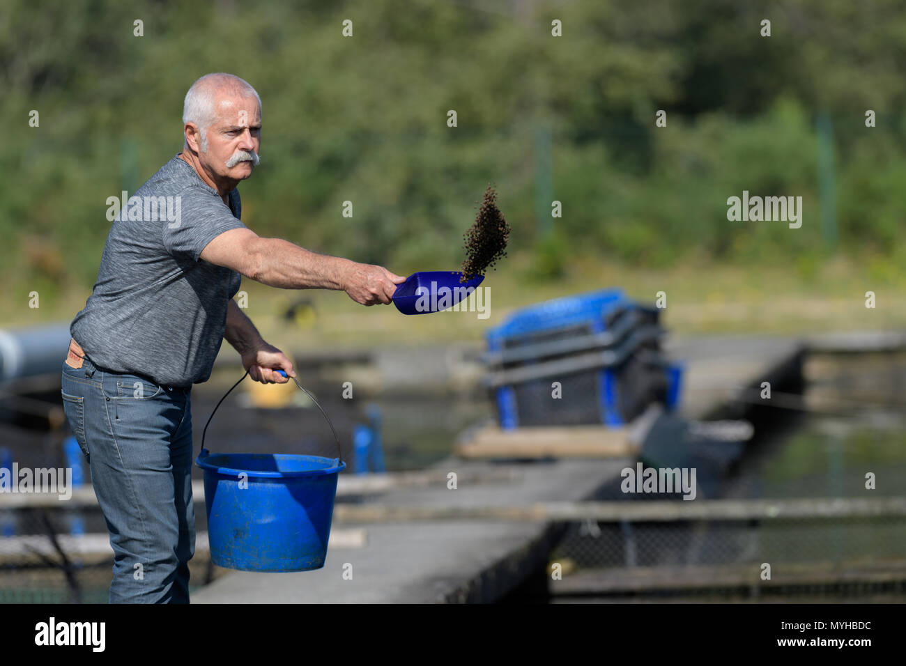 Fish enclosure hi-res stock photography and images - Alamy