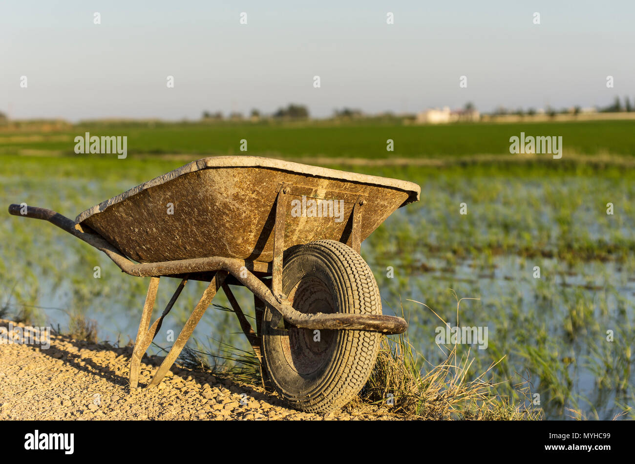 Vintage wheel barrow rice field Stock Photo - Alamy