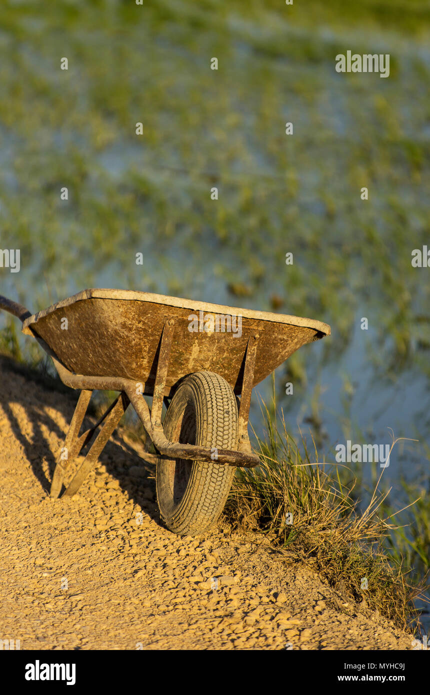Vintage wheel barrow rice field Stock Photo - Alamy