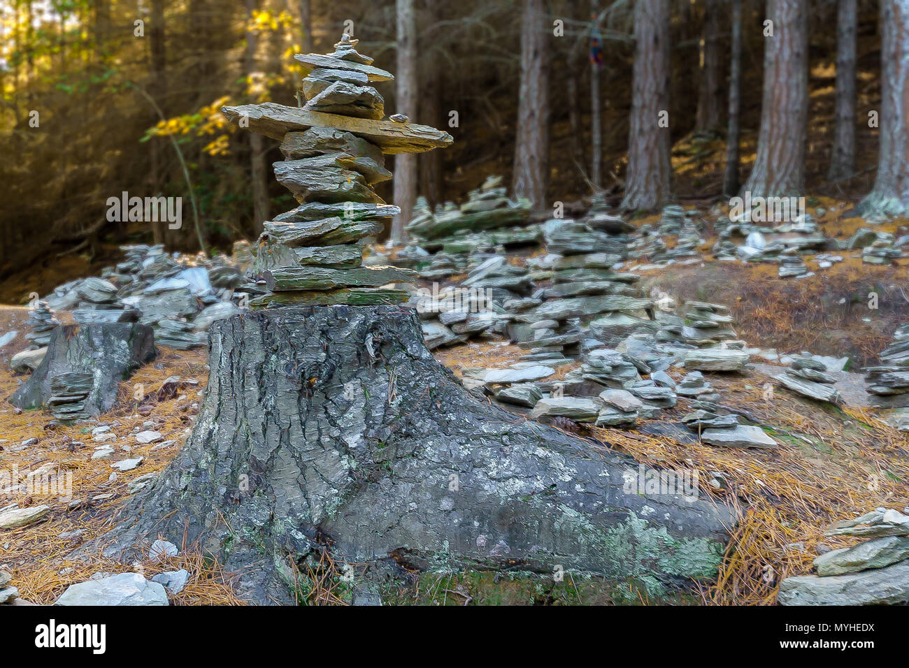 STONE STACKING IN THE WOOD. Stack of stones rest in equilibrium on an ...