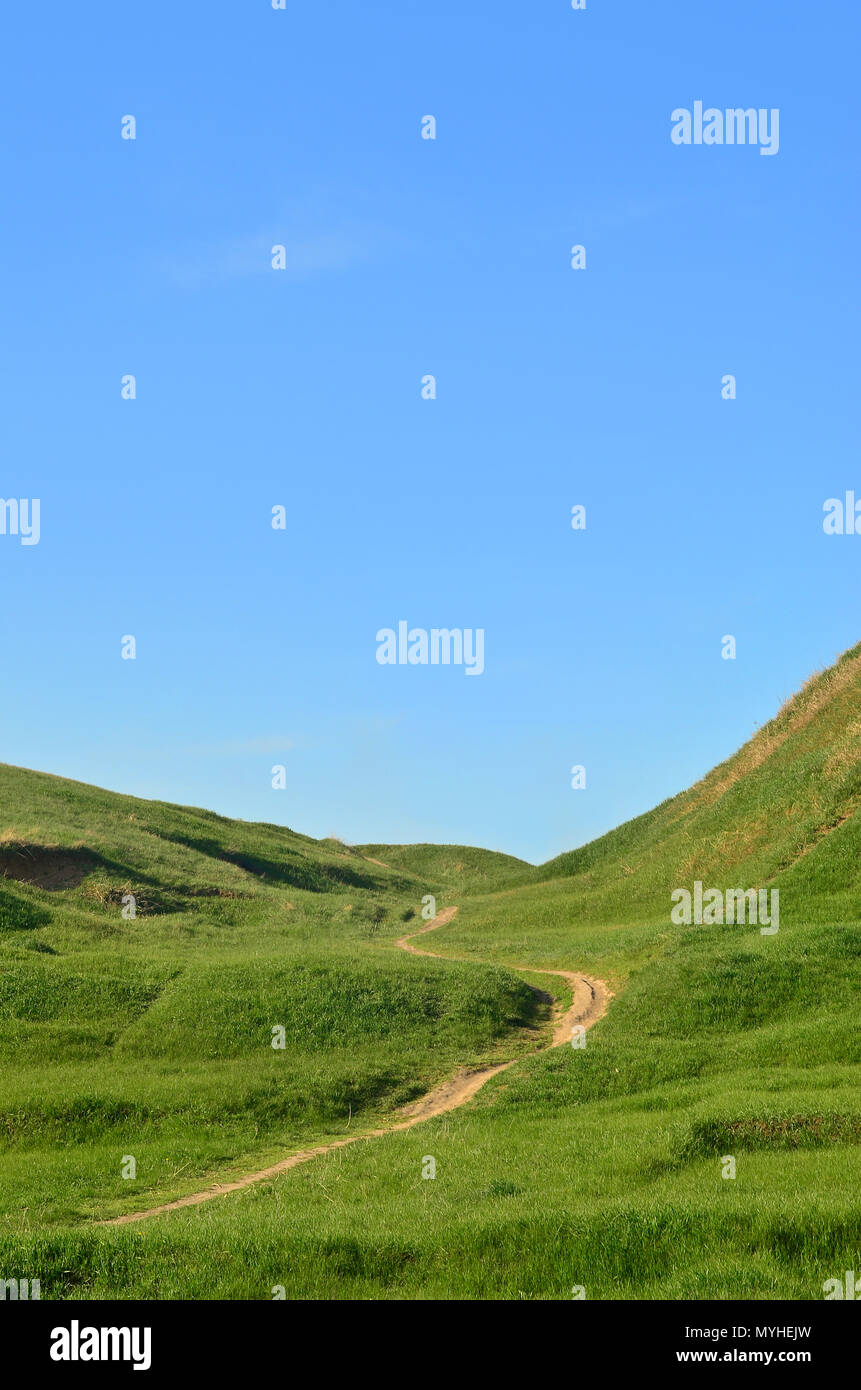 Trampled grass hi-res stock photography and images - Alamy