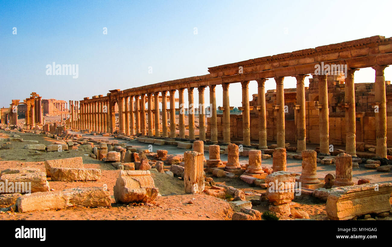 Panorama of Palmyra columns and ancient city, destroyed now, Syria ...
