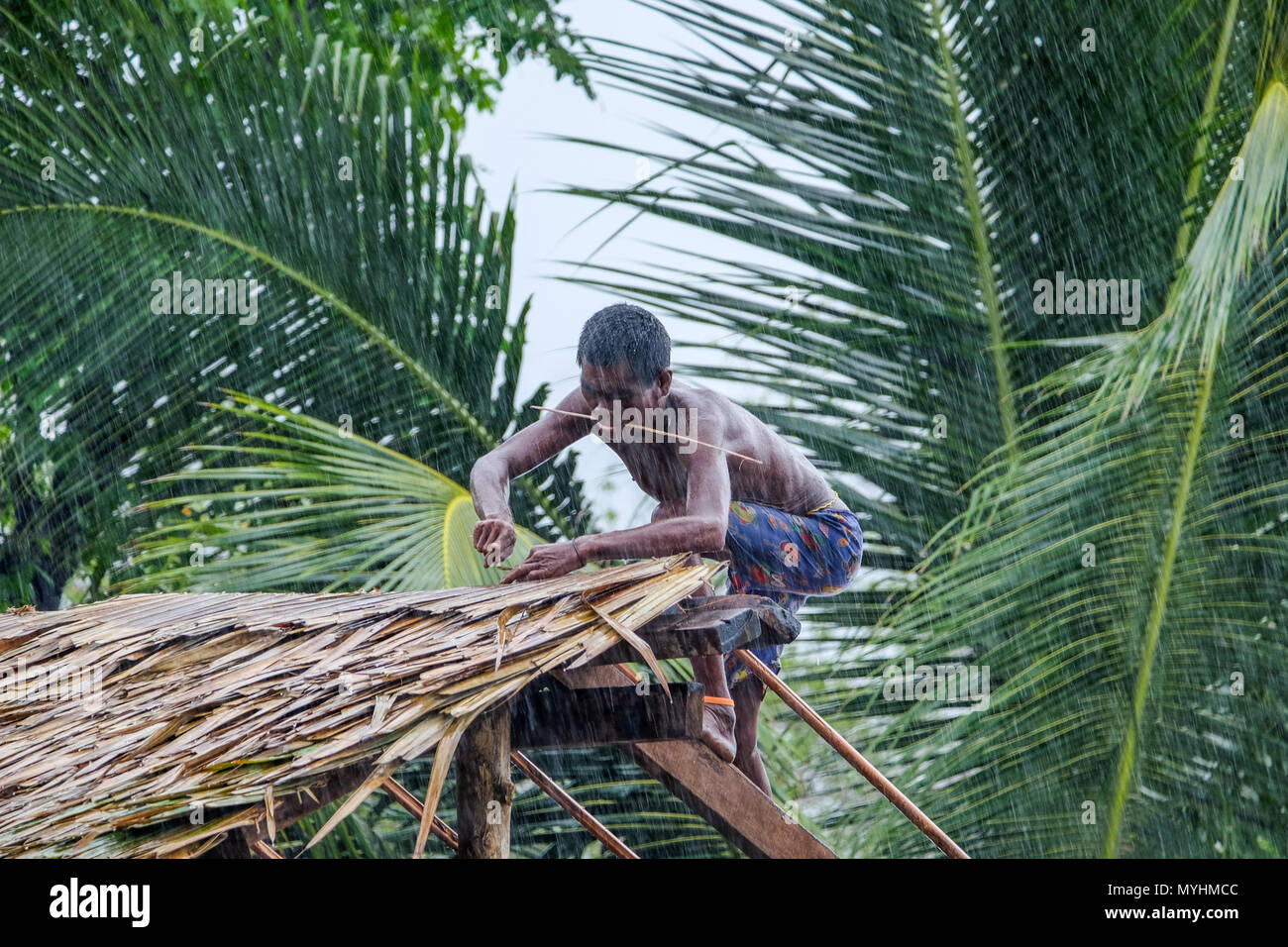 May 1 2018 - Myeik Archipelago, Myanmar. Moken man thatching a hut in ...
