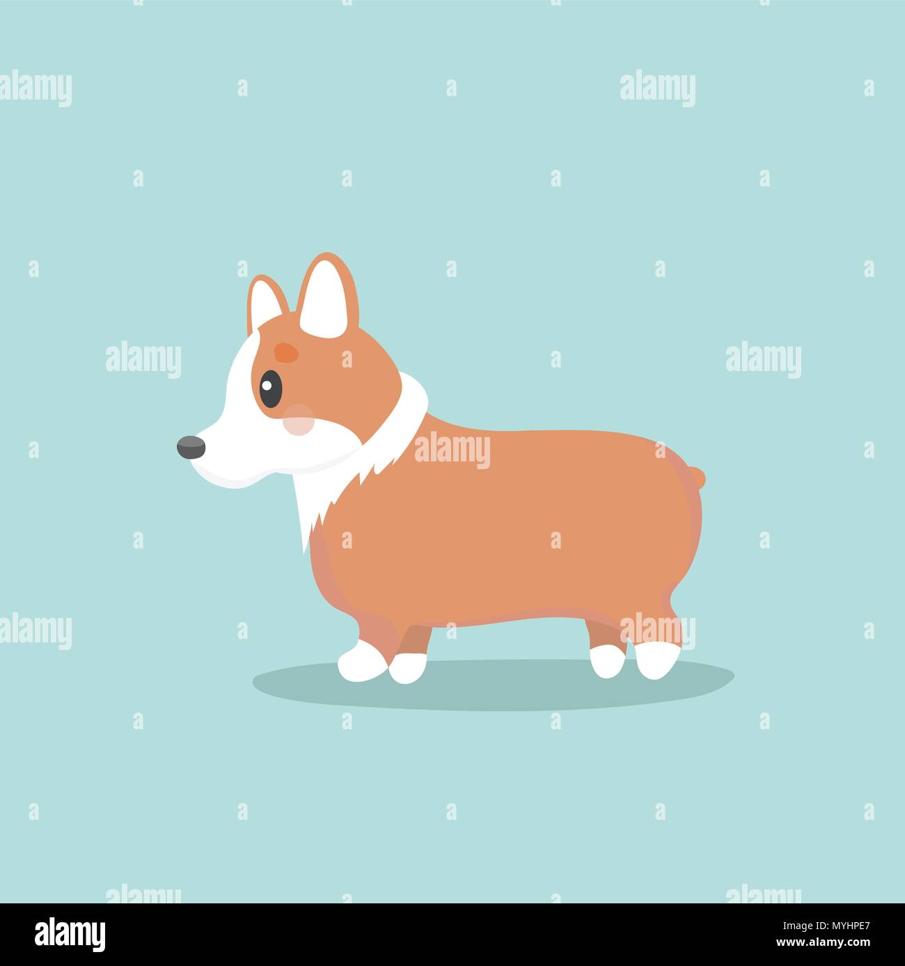 Cute welsh corgi dog vector illustration Stock Vector Image & Art - Alamy