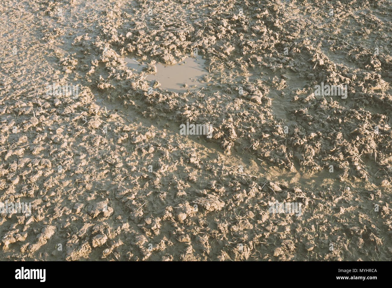 Landscape of gravel soil and soil ground, brown of small soil and dry ...