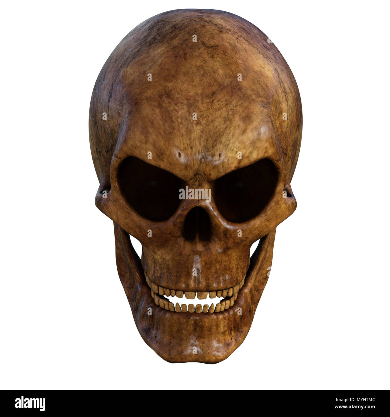 Human skull on old hi-res stock photography and images - Alamy
