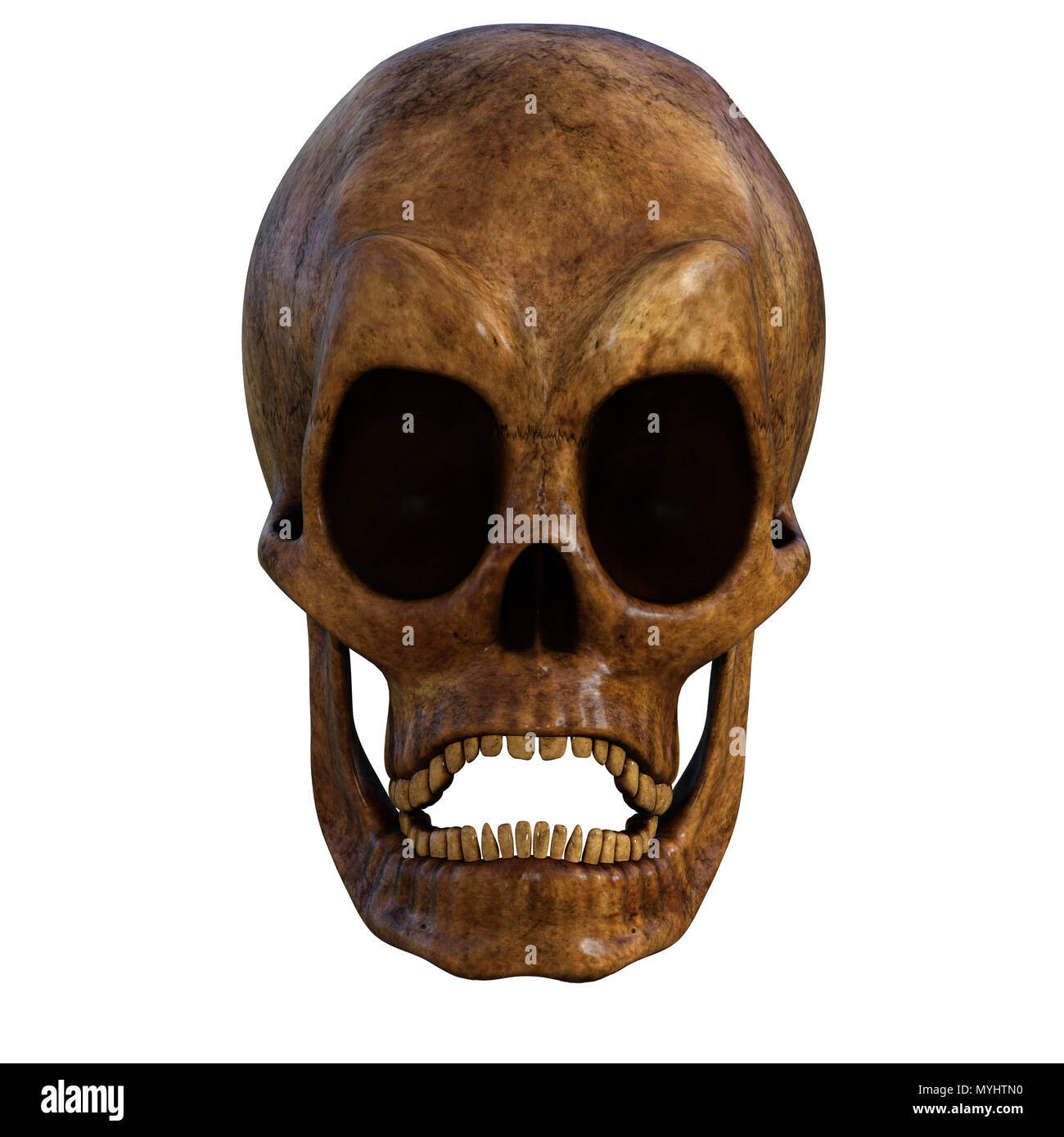 Human skull on old hi-res stock photography and images - Alamy
