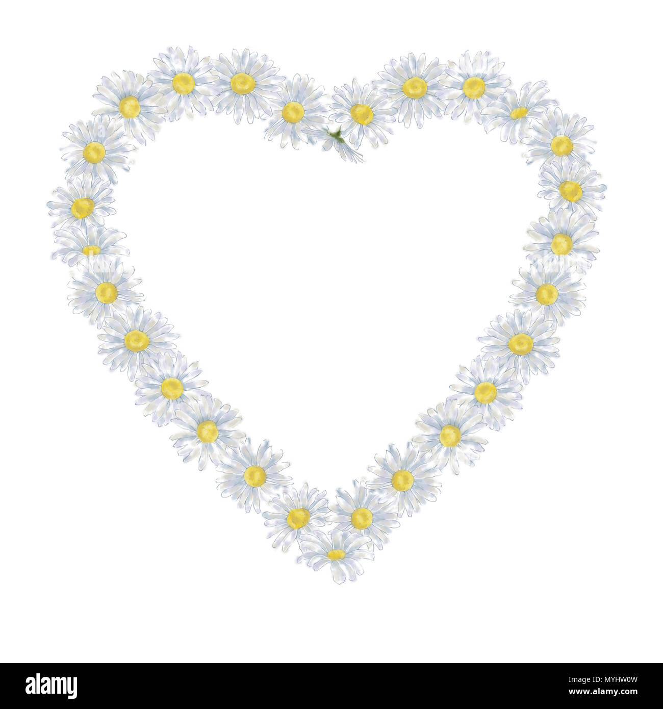 Daisy Heart Shape Wreath Isolated on White Background. Watercolor ...