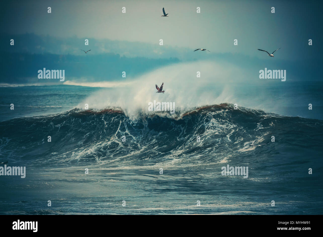 Huge waves hi-res stock photography and images - Alamy