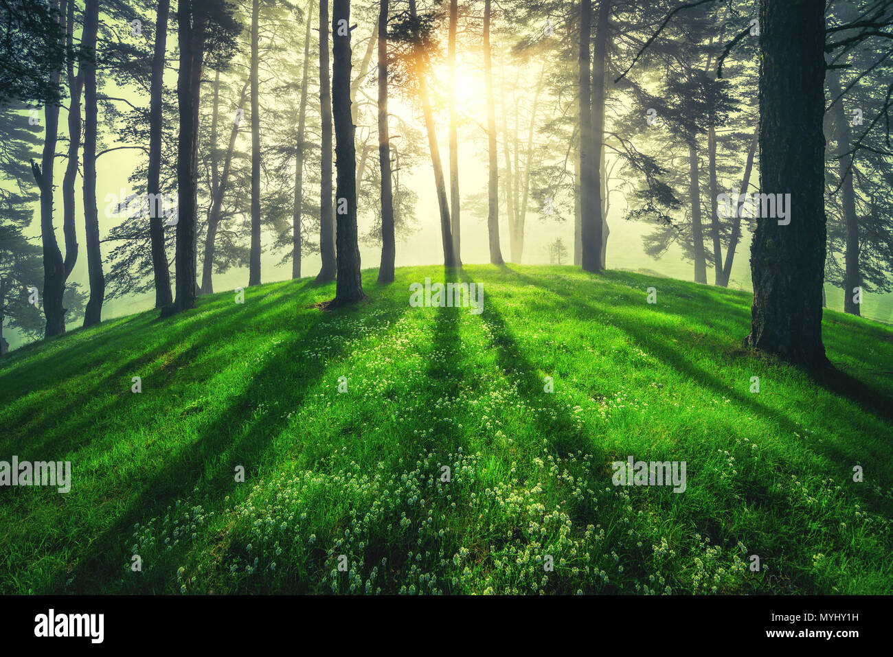 Fog beautiful hi-res stock photography and images - Alamy