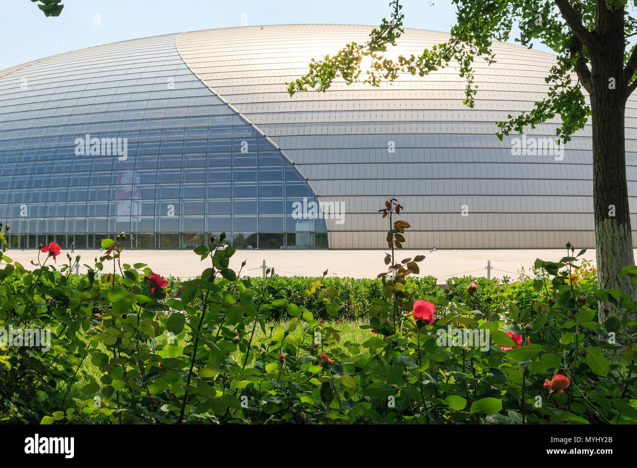 Npc ellipse hi-res stock photography and images - Alamy