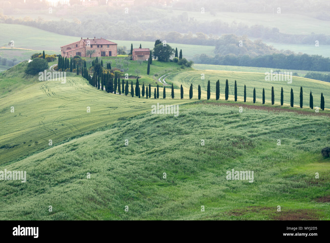 The beauty of the Val d'Orcia in Tuscany , Italy Stock Photo - Alamy