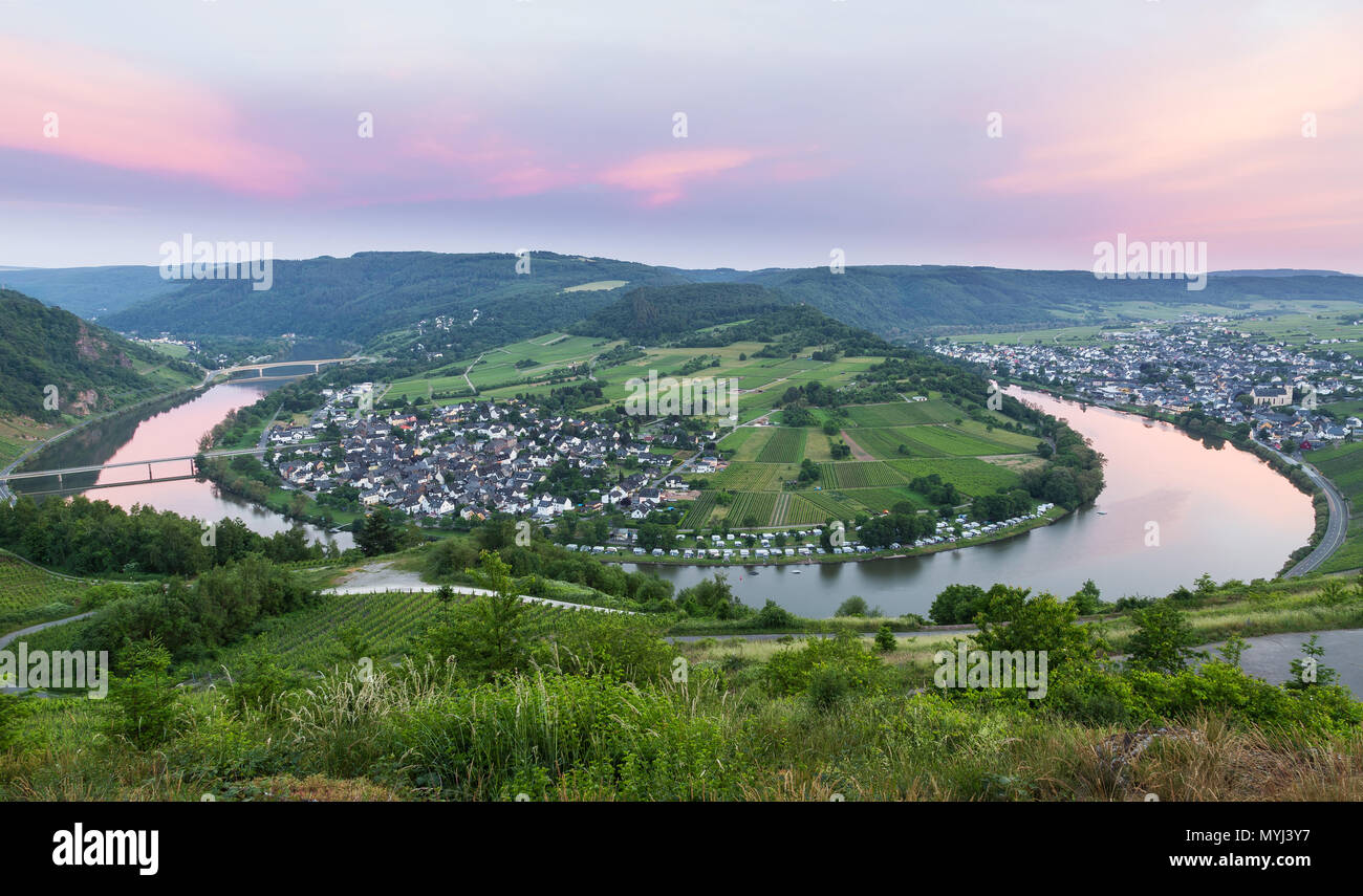 Kroev wolf hi-res stock photography and images - Alamy