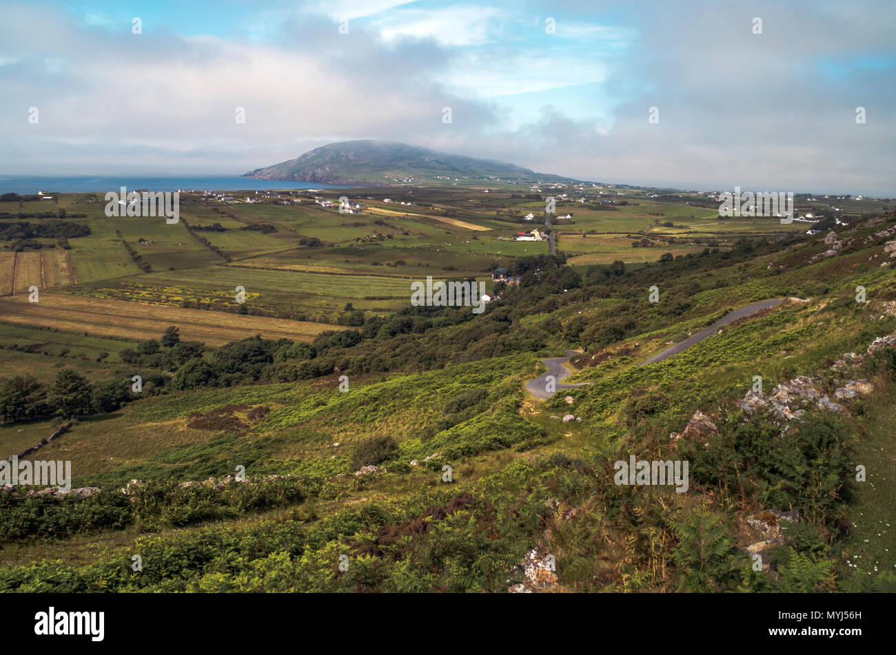Mamore Forest High Resolution Stock Photography and Images - Alamy