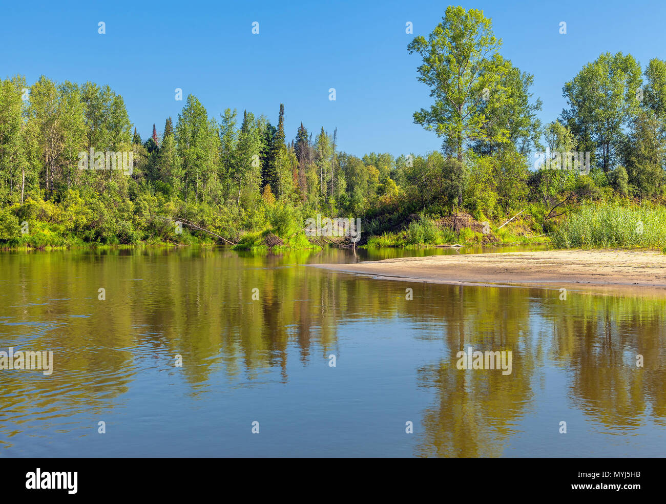 Siberia russia river hi-res stock photography and images - Alamy