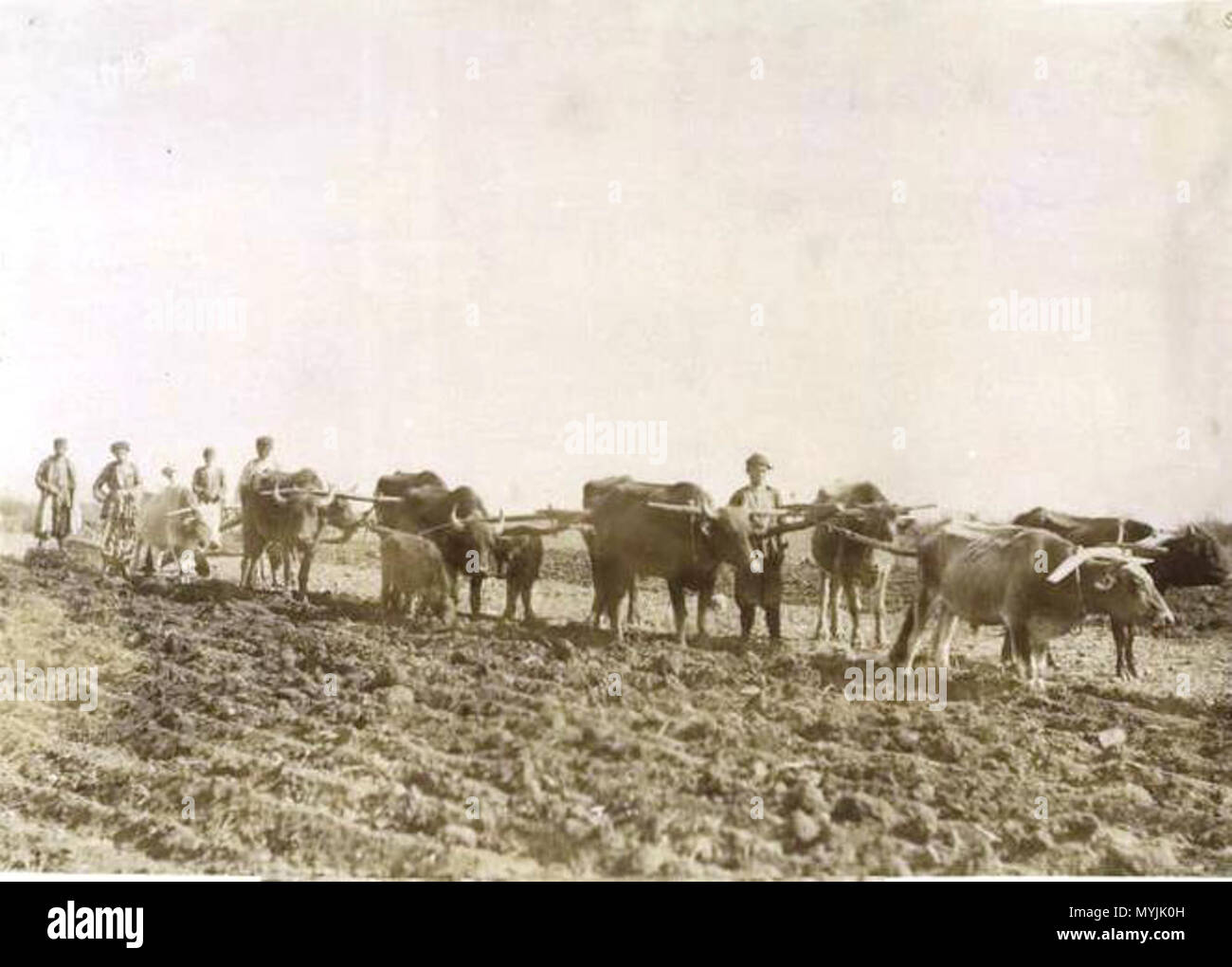 Rare photographs hi-res stock photography and images - Alamy