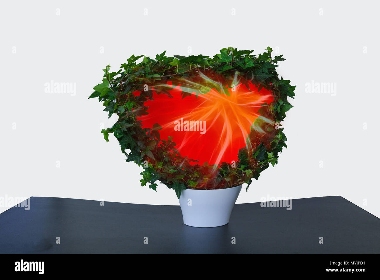 Efeuranken hi-res stock photography and images - Alamy