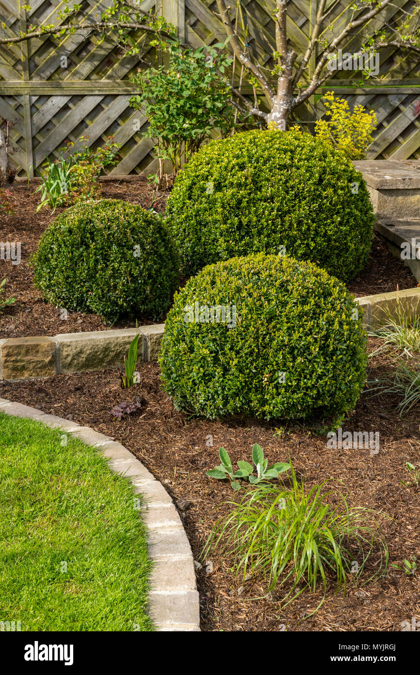 Neatly clipped box balls hi-res stock photography and images - Alamy