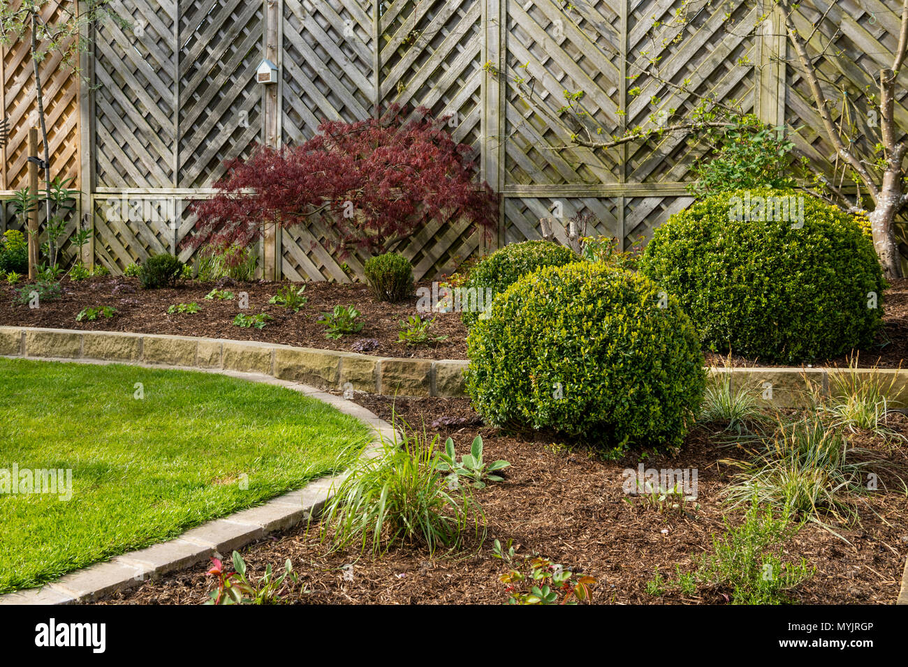 Dome shaped tree uk hi-res stock photography and images - Alamy