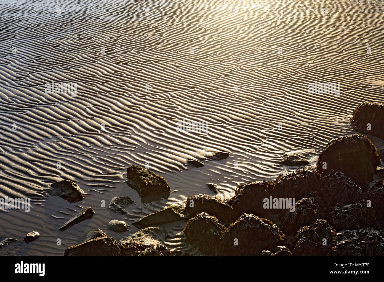 Pronounced pattern of sandy ripple marks in sunlight and dark stones ...