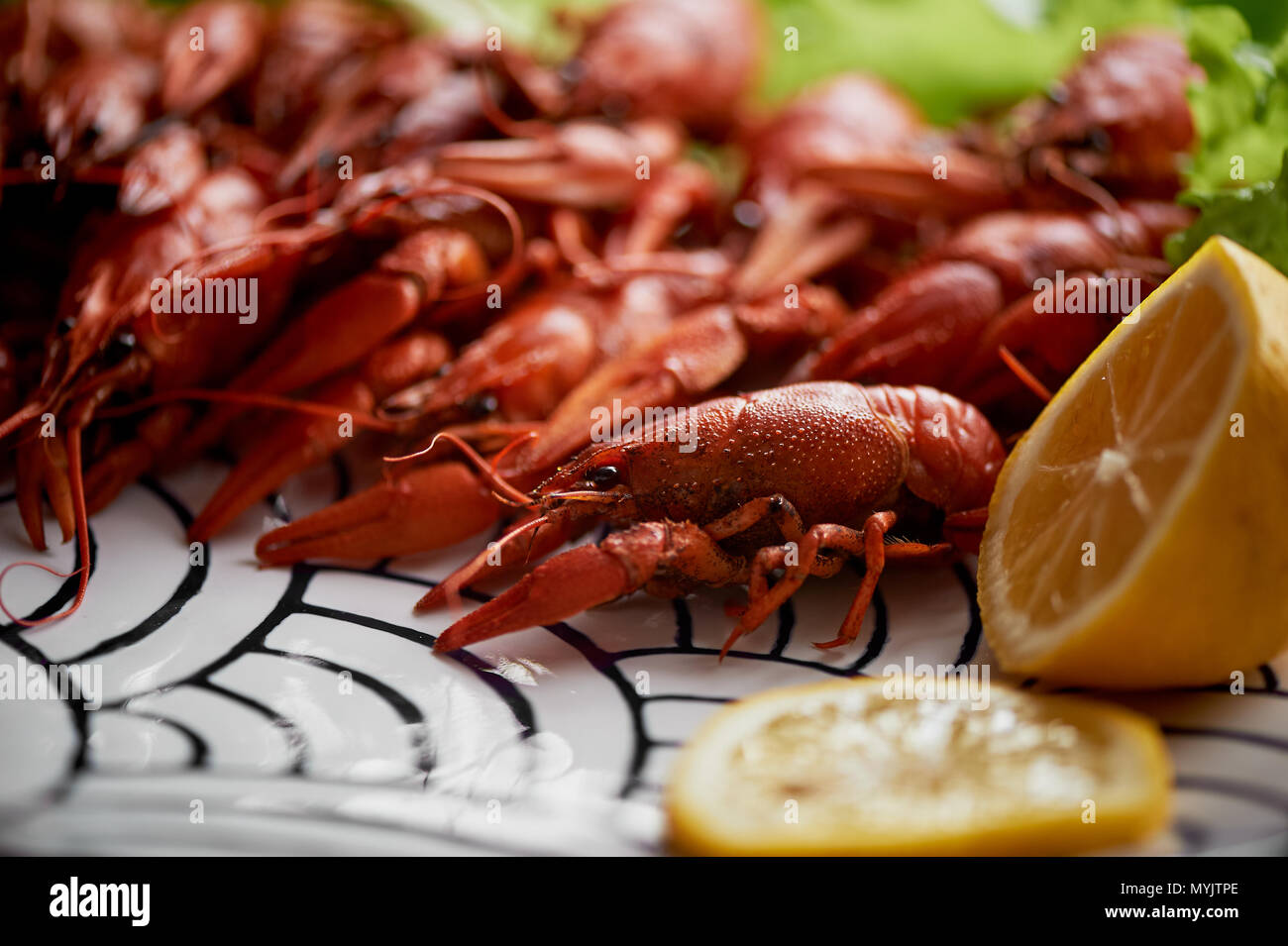 Boiled crawfish are on the dish with interesting ornament. Fresh salad ...