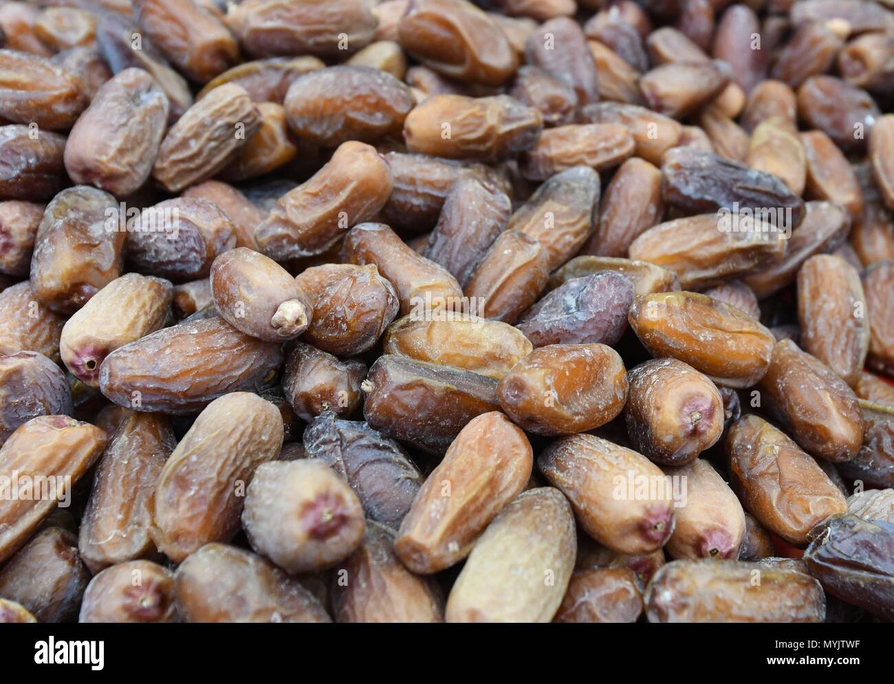 Jehuda hi-res stock photography and images - Alamy