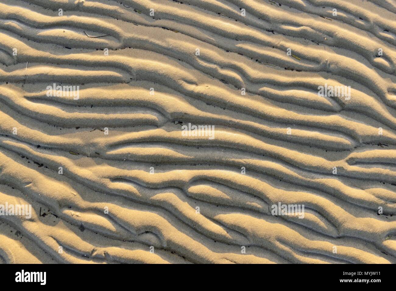 Powerful pattern of ripple marks in the wet sand from the western beach ...