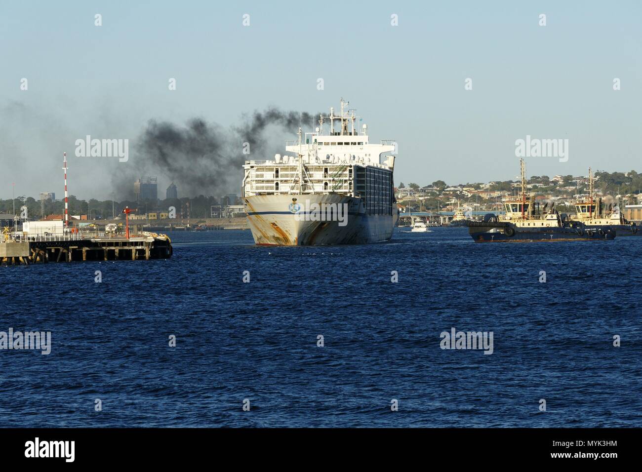 Sheep ship australia hi-res stock photography and images - Alamy