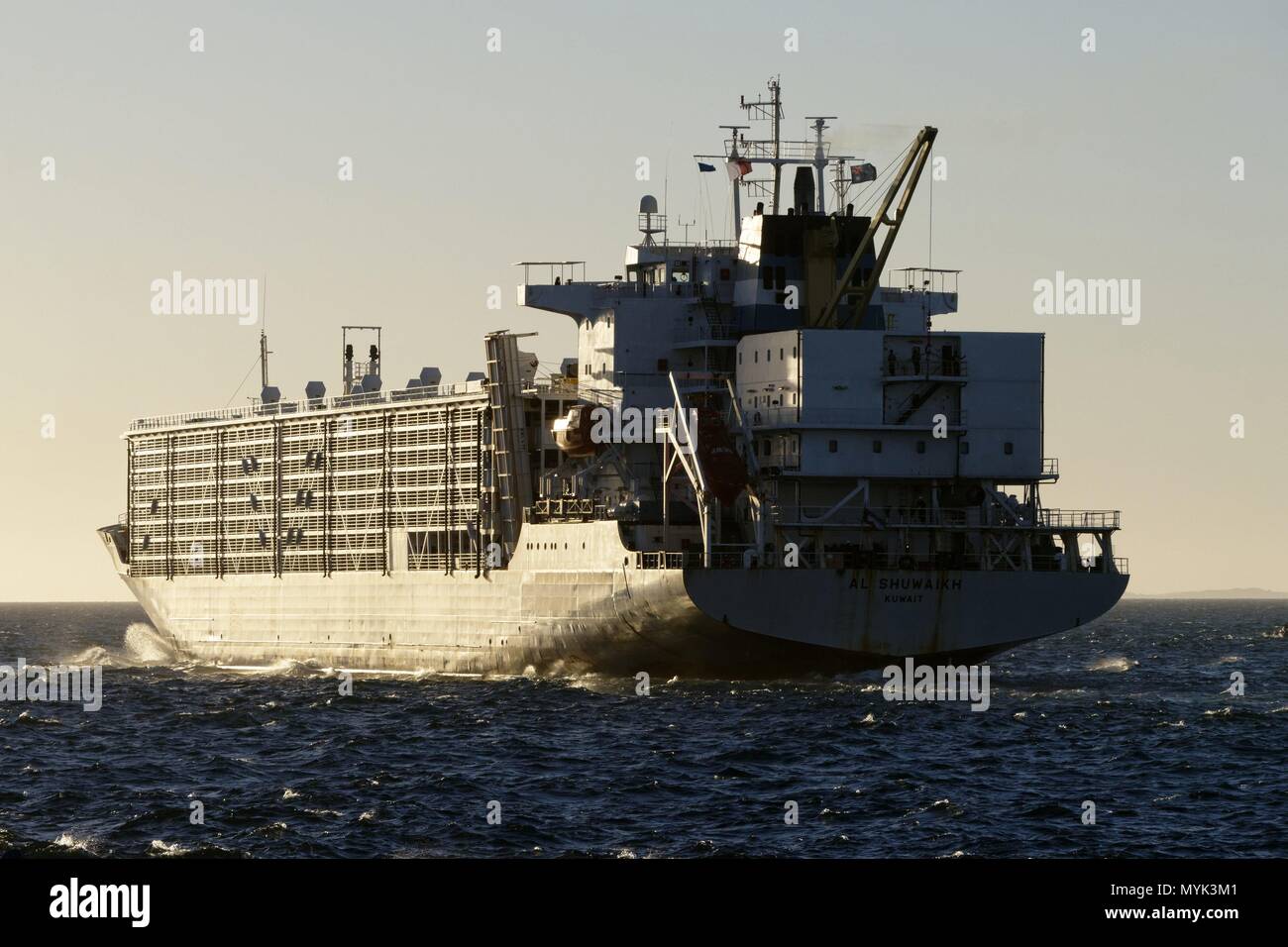 Sheep carrier AL SHUWAIKH leaving Fremantle harbour, Fremantle, Western ...