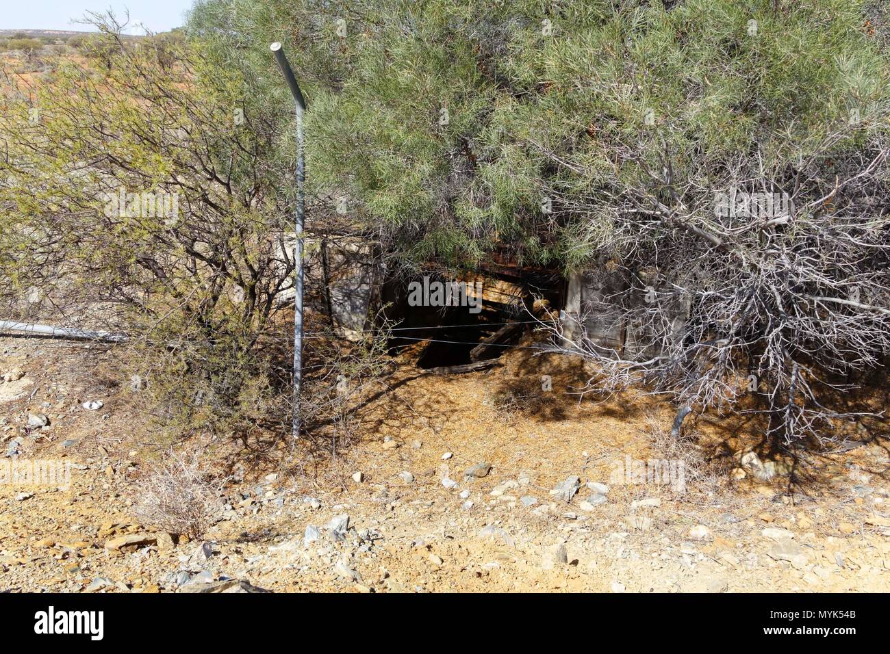 Old gold mine shaft hidden under a tree, Eastern Goldfields, Western ...